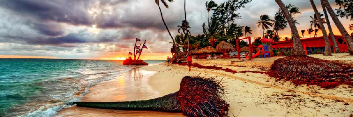 Ecotourism in the Bahamas - Bahamas Air Charters